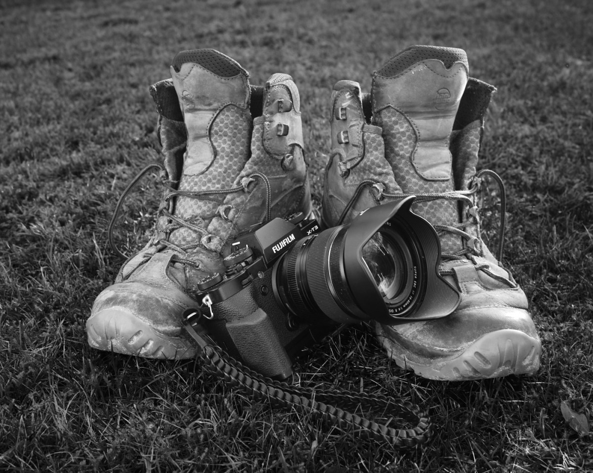 An introduction to … ‘A lens walk’ – A lens walk