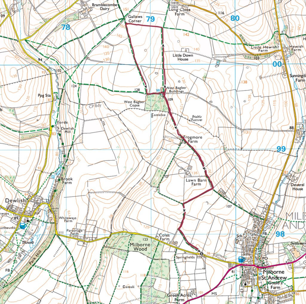 Milborne St Andrew to Gallows Corner – A lens walk